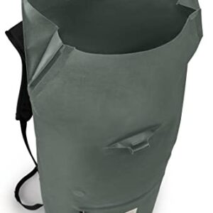 Osprey Arcane Roll Top Waterproof Backpack 25, Pine Leaf Green