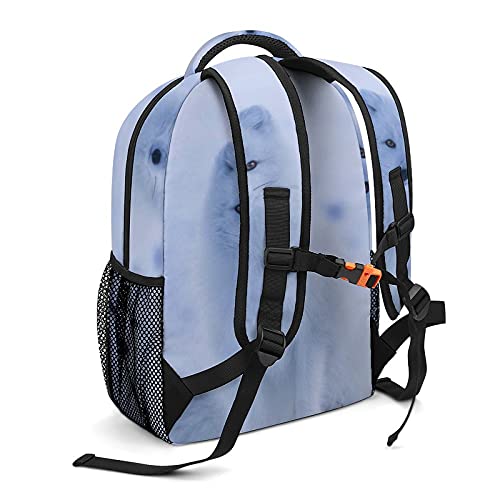 FunnyStar Arctic Fox Travel Backpack Casual Sports Bag Oxford cloth suitable For Study Shopping traveling camping, White-style1, One Size, (FunnyStar)