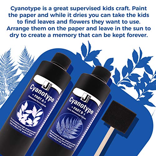 Jacquard Cyanotype - for Photographic Blueprints on Paper and Fabric - 2 Component Sensitizer Set - Bundled with Moshify Sponge Brush for Application