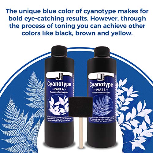 Jacquard Cyanotype - for Photographic Blueprints on Paper and Fabric - 2 Component Sensitizer Set - Bundled with Moshify Sponge Brush for Application