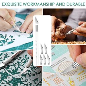 13 Pcs Vinyl Weeding Tools Stainless Steel Plotter Accessories HTV, Precision Carving Craft Hobby Knife Kit +1 Piece Storage Bag, Silhouettes, Cameos, DIY Art Work Cutting,Scrapbook