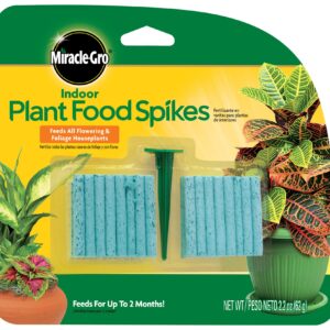 Miracle-Gro Indoor Plant Food Spikes, Includes 48 Spikes - Continuous Feeding for all Flowering and Foliage Houseplants - NPK 6-12-6, Pack of 1