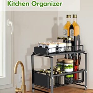 Docusvect Under Sink Organizer, 2-Tier Metal Under Cabinet Sliding Storage, Under Kitchen Sink Organizer, Under Sink Organizers and Storage with Hooks, Organizer for Bathroom Kitchen (Steel-1Pack)