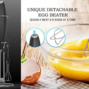 ElitaPro ULTRA-HIGH-SPEED 19,000 RPM, Milk Frother DOUBLE WHISK, Unique Detachable EGG BEATER and STAND For quick preparation (Black)