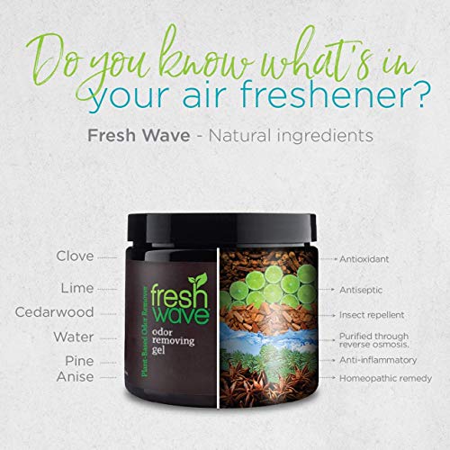 Fresh Wave Odor Removing Gel, 15 oz. | Pack of 2 | Odor Absorbers for Home | Safer Odor Relief | Natural Plant-Based Odor Eliminator | Every 15 oz. lasts 30-60 Days | For Cooking, Trash & Pets