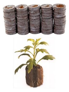 50 count – jiffy 7 peat pellets – seed starter soil plugs – 36 mm – start seedlings indoors – easy to transplant to garden