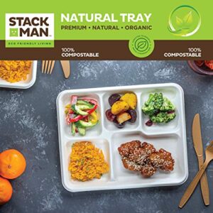 100% Compostable 9 Inch Paper Plates [125-Pack] Heavy-Dut, Natural Disposable Bagasse Plate, Eco-Friendly Made of Sugarcane Fibers - Natural Unbleached Brown 9" Biodegradable Plate by Stack Man