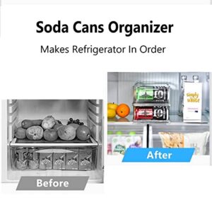 HOISUEN Soda Can Organizer for Refrigerator & Pantry, 2-tier Auto-Rolling Down Stackable Soda Can Dispenser for Storage SN001