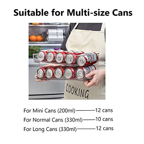 HOISUEN Soda Can Organizer for Refrigerator & Pantry, 2-tier Auto-Rolling Down Stackable Soda Can Dispenser for Storage SN001