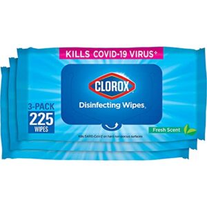 Clorox Disinfecting Wipes, Bleach Free Cleaning Wipes, Multi-surface Wipes with Moisture Seal Lid, Easy Pull Wipes Pack, Fresh Scent, 75 Wipes (Pack of 3) - Packaging May Vary