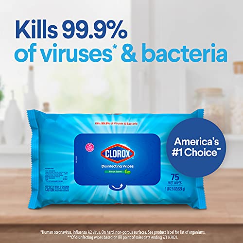 Clorox Disinfecting Wipes, Bleach Free Cleaning Wipes, Multi-surface Wipes with Moisture Seal Lid, Easy Pull Wipes Pack, Fresh Scent, 75 Wipes (Pack of 3) - Packaging May Vary