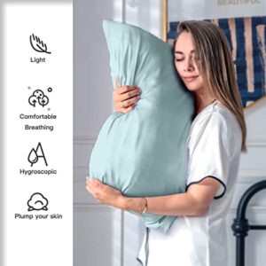 Mulberry Silk Pillowcase for Hair and Skin Standard Size 20"X 26" Pillow Case with Hidden Zipper Soft Breathable Smooth Cooling Silk Pillow Covers for Sleeping(Haze Blue,Standard,1Pcs)