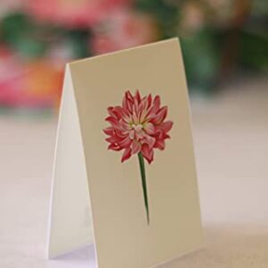 Freshcut Paper Pop Up Cards, Dear Dahlia, 12 inch Life Sized Forever Flower Bouquet 3D Popup Greeting Cards with Note Card and Envelope - Dahlia & Cala Lily Flowers