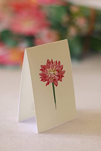 Freshcut Paper Pop Up Cards, Dear Dahlia, 12 inch Life Sized Forever Flower Bouquet 3D Popup Greeting Cards with Note Card and Envelope - Dahlia & Cala Lily Flowers