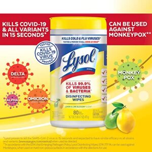 Lysol Disinfectant Wipes, Multi-Surface Antibacterial Cleaning Wipes, For Disinfecting and Cleaning, Lemon and Lime Blossom, 80 Count (Pack of 3)