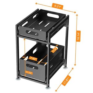 Itonosei Under The Sink Organizer, 2 Tier Organizer Baskets with Pull Out Drawers, Black Under Sink Organizers and Storage with Sliding Storage Drawer