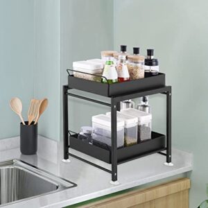 Under Sink Organizer, Bathroom Cabinet Storage, 2-Tier Kitchen Cabinet Organizer with Sliding Storage Basket Drawers, Multi-purpose Countertop Storage Shelf for Bathroom,Kitchen,Office (Large, Black)