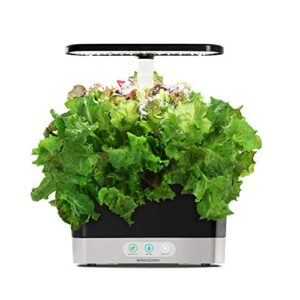 Aerogarden Salad Greens Seed Pod Kit with Red and Green Leaf, Romaine and Butter Head Lettuce, Liquid Plant Food and Growing Guide (6-Pod)