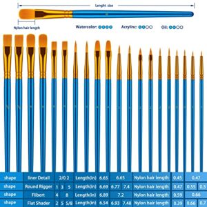 Paint Brushes Set, 20 Pcs Paint Brushes for Acrylic Painting, Oil Watercolor Acrylic Paint Brush, Artist Paintbrushes for Body Face Rock Canvas, Kids Adult Drawing Arts Crafts Supplies, Blue