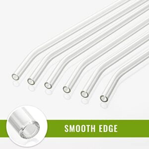 NETANY 12-Pack Reusable Glass Straws, Clear Glass Drinking Straw, 10''x10 MM, Set of 6 Straight and 6 Bent with 4 Cleaning Brushes - Perfect for Smoothies, Milkshakes, Tea, Juice - Dishwasher Safe