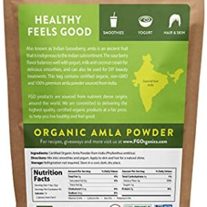 Organic Amla Powder (Amalaki) | 16oz Resealable Kraft Bag (1lb) | 100% Raw From India | by FGO