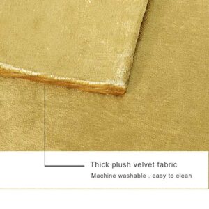 GIGIZAZA Gold Velvet Decorative Throw Pillow Covers,18x18 Pillow Covers for Couch Sofa Bed 2 Pack Soft Cushion Covers