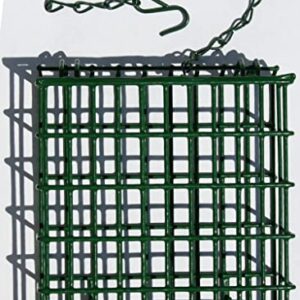 C&S Wild Bird EZ Fill Suet Basket, Green