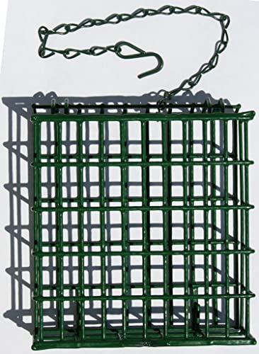 C&S Wild Bird EZ Fill Suet Basket, Green