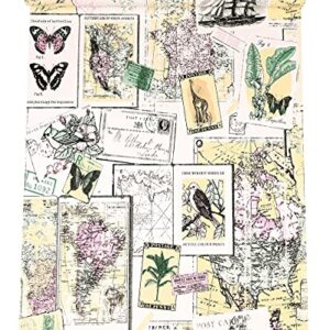 Self Adhesive Vinyl Vintage Butterfly Birds Map Contact Paper Shelf Liner Cabinets Dresser Drawer Liner Furniture Sticker Wall Paper 17.7X117 Inches