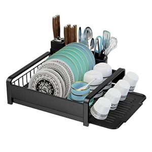 Nieifi Over The Sink Dish Drying Rack One Tier,Multifunctional Rust Proof Dish Rack with Utensil Holder for Kitchen Counter,Drying Rack with Removable Cutlery Box and Water Filter Tray Black