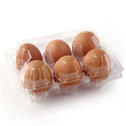 FUNSUEI 120 Pack 6 Eggs Clear Plastic Egg Cartons Bulk, Reusable Empty Egg Carton, Half Dozen Blank Chicken Egg Tray Holders for Family Storage, Pasture Farm, Market Display