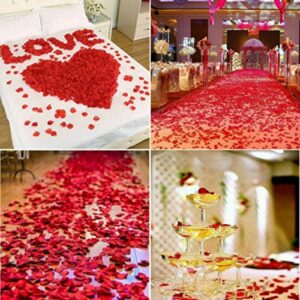 CODE FLORIST 2200 PCS Dark-Red Silk Rose Petals Wedding Flower Decoration