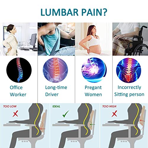 Lumbar Support Pillow for Office Chair Back Support Pillow for Car, Computer, Gaming Chair, Recliner Memory Foam Back Cushion for Back Pain Relief Improve Posture, Mesh Cover Double Adjustable Straps