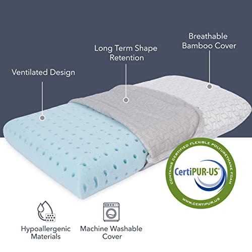 Vaverto Gel Memory Foam Pillow - Queen Size - Ventilated, Premium Bed Pillow with Washable and Bamboo Pillow Cover, Cooling, Orthopedic Sleeping, Side and Back Sleepers - College Dorm Room Essentials