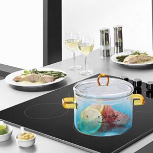 Glass Saucepan with Cover, 900ml Heat-Resistant Glass Stovetop Pot and Pan with Lid, The Best Handmade Glass Cookware Set Cooktop Safe for Pasta Noodle, Soup, Milk, Baby Food