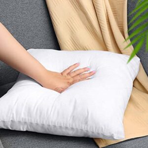 Utopia Bedding Throw Pillows Insert (Pack of 2, White), 18 x 18 Inches Couch Sofa Cushion, Decorative Pillow and Sham Stuffer for Bed