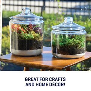 Anchor Hocking 1 Gallon Heritage Hill Glass Jar with Lid (4 piece, all glass, dishwasher safe)