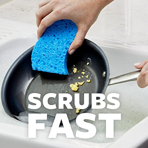 Scotch-Brite Scrub Dots Non-Scratch Scrub Sponge, Rinses Clean, For Washing Dishes and Cleaning Kitchen, 6 Scrub Sponges