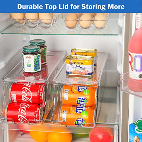 Puricon 2 Pack Soda Can Organizer Dispenser for Refrigerator Bundle with Tea Bag Organizer Storage Holder 360-Degrees Spinning Carousel