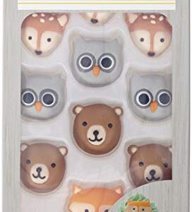 Food Items Icing Decorations, Camping Adventures-Woodland Animals