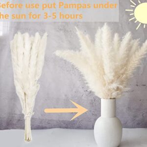 110 PCS Dried Pampas Grass Bouquet, Boho Table Decor, Bunny Tails Dried Flowers, Brown Pompas, White Pampas Grass for Wedding, Home, Rustic Party, Baby Shower Decorations