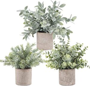 der rose 3 pack mini potted fake plants artificial plastic eucalyptus plants for home office desk farmhouse room decor