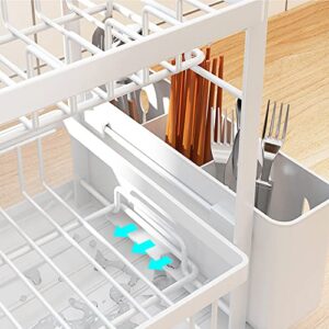 Alienustack Dish Drying Rack with Draining Plate, Dish Rack Cutlery Rack with Water Outlet, Stainless Steel Draining Rack for Kitchen Top - White