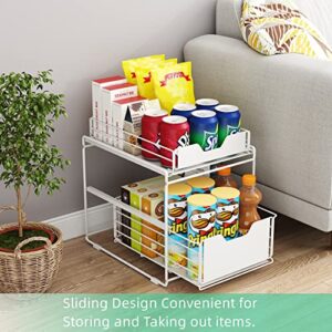 TidyEasy 2-Tier Under Sink Organizer with Sliding Storage Drawer,Pull Out Steel Basket with Simple Gear, Kitchen Bathroom Cabinet Storage (White)