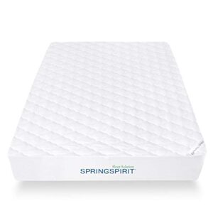 Full Size Mattress Protector Waterproof, Breathable & Noiseless Full Mattress Pad Cover Quilted Fitted with Deep Pocket Strethes up to 14" Depth (54"x 75")