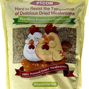 Hatortempt 5 lbs Non-GMO Dried Mealworms-High-Protein Mealworms for Wild Bird ,Chicken, Ducks,Fish,Reptile, Tortoise , Amphibian,Lizard