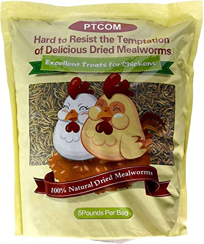 Hatortempt 5 lbs Non-GMO Dried Mealworms-High-Protein Mealworms for Wild Bird ,Chicken, Ducks,Fish,Reptile, Tortoise , Amphibian,Lizard