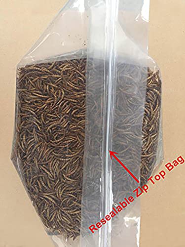 Hatortempt 5 lbs Non-GMO Dried Mealworms-High-Protein Mealworms for Wild Bird ,Chicken, Ducks,Fish,Reptile, Tortoise , Amphibian,Lizard