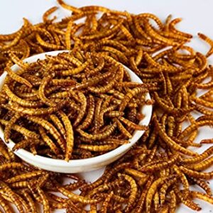 Hatortempt 5 lbs Non-GMO Dried Mealworms-High-Protein Mealworms for Wild Bird ,Chicken, Ducks,Fish,Reptile, Tortoise , Amphibian,Lizard