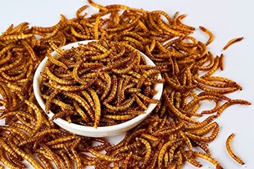 Hatortempt 5 lbs Non-GMO Dried Mealworms-High-Protein Mealworms for Wild Bird ,Chicken, Ducks,Fish,Reptile, Tortoise , Amphibian,Lizard